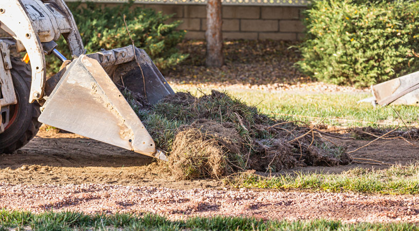 How to Properly Grade Your Yard - Mondo EX